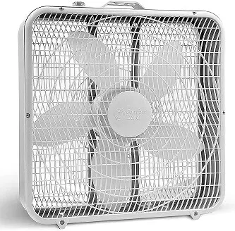 Top Box Fan Reviews: Expert Picks & Buying Guide