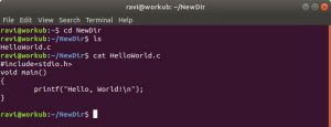 Conquer the Linux Terminal: Master Basic Commands