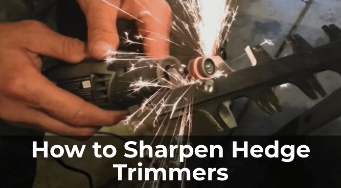 How to Sharpen the Hedge Trimmers Easily - ElectronicsHub USA