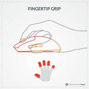 Mouse Grip Styles | Comparison of Palm, Claw & Fingertip Grip ...