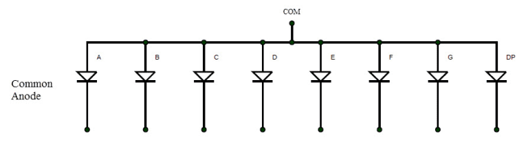 7 Segment Display Pinout - ElectronicsHub USA