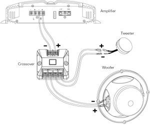 2-Channel Amp Wiring: Master Your Setup (Complete Guide)