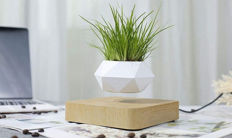 10 Finest Floating Plant Pots For Adorning Your Home - handla.it