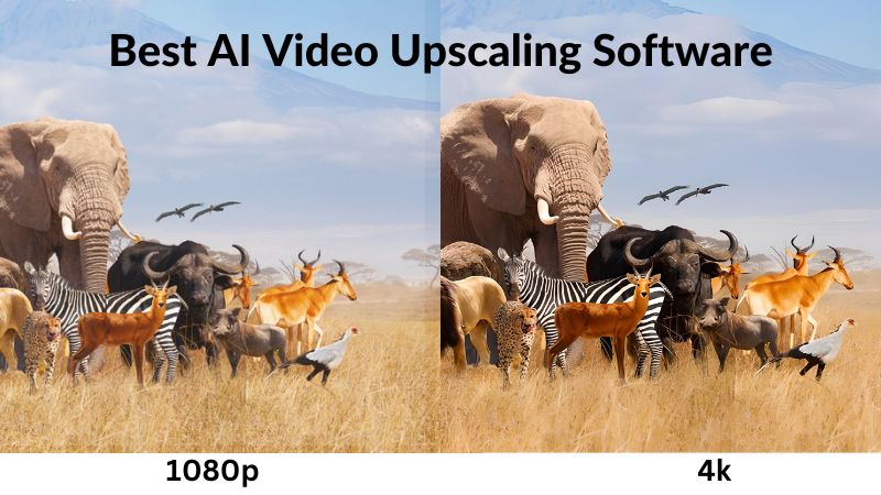 Sharpen Your Videos Best Ai Video Upscaling Software