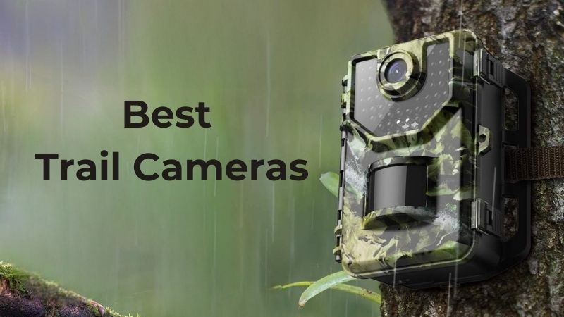10 Best Trail Cameras [Tested & Ranked]