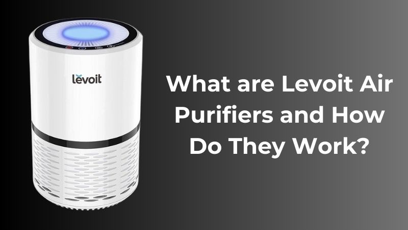 Levoit Air Purifiers: Breathe Easier with Clean Indoor Air (Guide)