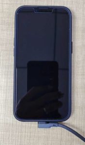 How to Fix iPhone/iPad Stuck on Flashing Apple Logo? - ElectronicsHub